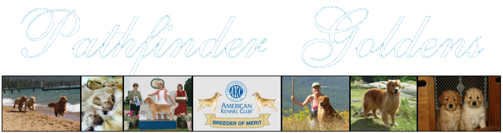 Puppy Inquiry – Pathfinder Goldens
